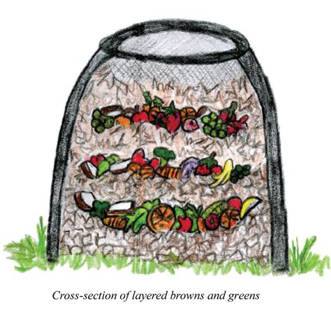 Get Started In Composting GrowinGreen