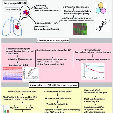 schematic flowchart and bioinformatics workflow download scientific