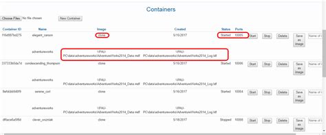 Sql Server Database Cloning On Aws