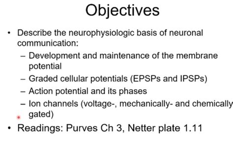 1 4 24 Resting Membrane Potentials Flashcards Quizlet