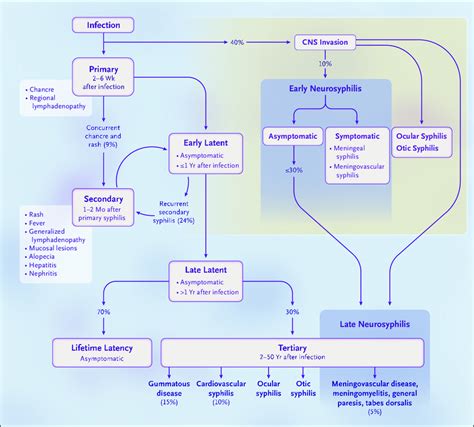 Natural History Of Untreated Syphilis The Time Intervals Between Download Scientific Diagram
