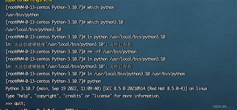 Linux系统下运行python脚本的全面指南与安装步骤详解 Linux命令大全手册