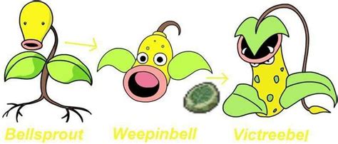 Bellsprout Evolution Pokemon Mario Characters Raichu