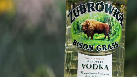 The 15 Best Value Vodka Brands According To Experts