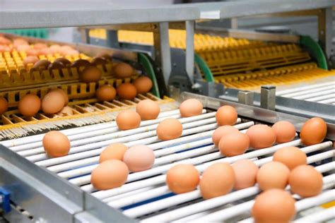 Аз жаргалыг үйлдвэрлэж буй “Түмэн шувуут” ХК хүнсий хувьсгалд нэгдлээ