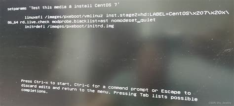 【运维小知识】（一）——centos系统安装（小白入门级） Csdn博客
