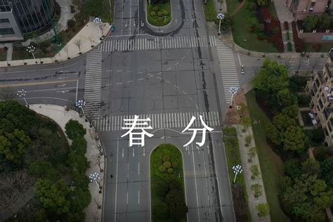 春已至花已开 愿山河无恙人间皆安凤凰网视频凤凰网