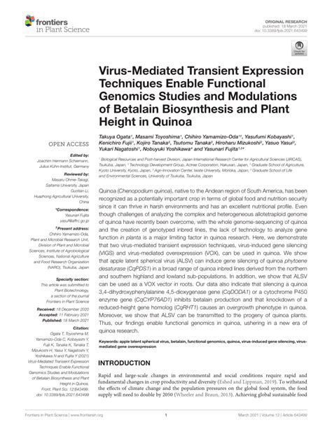 Pdf Virus Mediated Transient Expression Techniques Enable Functional