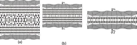 Figure 1 From Extrusion And Rarefaction Of Lubricant In Boundary Layer Is The Key Processes Of