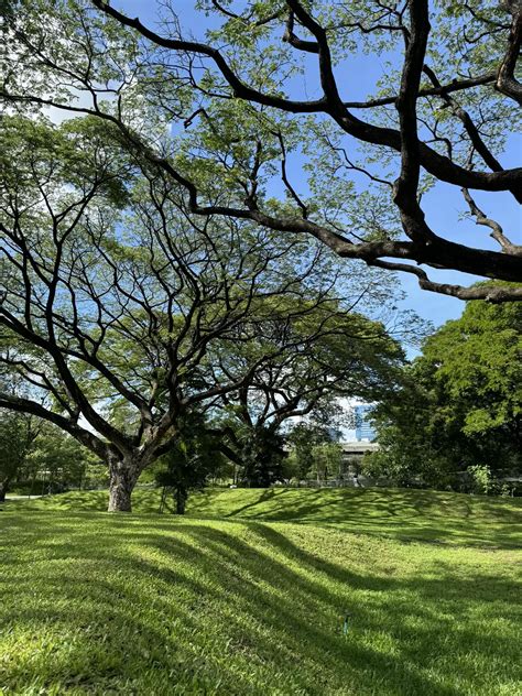 วิวสวยๆ สดชื่น มองไปทางไหนก็มีแต่สีเขียว 🌿 วิดีโอที่เผยแพร่โดย Hrพา
