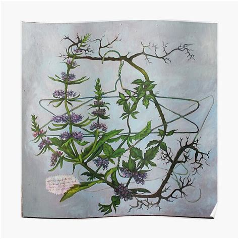 Pennyroyal Poster For Sale By Margaretshipman Redbubble