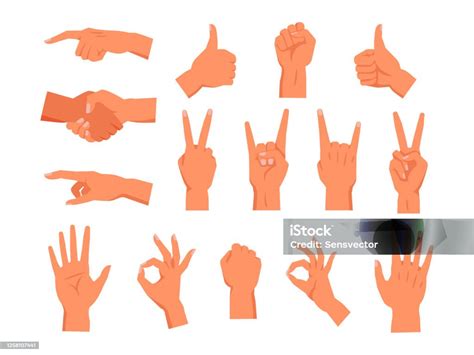 벡터 손 제스처 집합입니다 비 구두 손바닥 기호 움켜쥐거나 제기 된 주먹 손가락 가리키는 또는 터치 엄지 손가락 악수 뿔이나 바위의 기호 하이 파이브 승리 또는 평화 좋아