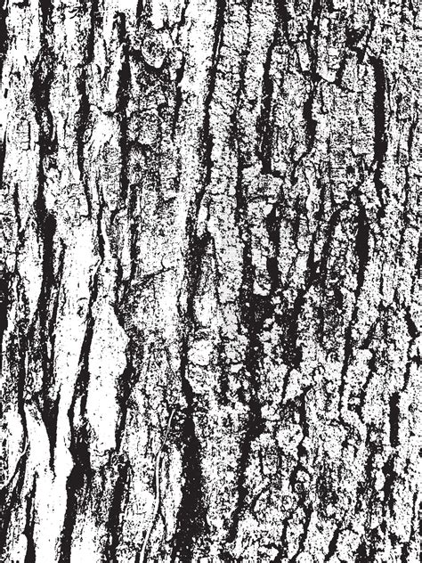 Grunge Tree Bark Texture Vector Art At Vecteezy