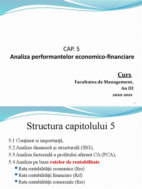 Analiza Perform Eco Fin Pdf