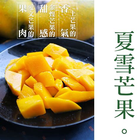 【鮮果日誌】芒果界lv 夏雪芒果4台斤精美禮盒裝 芒果荔枝 Yahoo奇摩購物中心