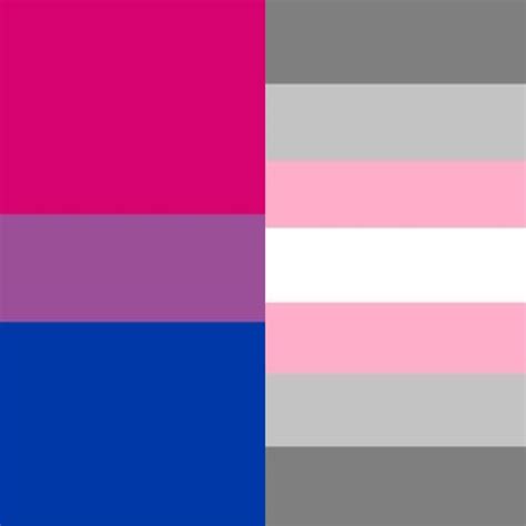 Bisexual Demigirl Pfp Pie Chart Chart Bisexual