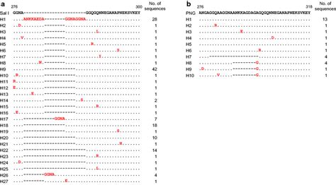 Genetic Polymorphism Of The C Terminal Non Repeat Region Of Myanmar