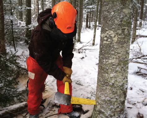 Factory Plastic Tree Felling Wedge Felling Wedges Buy Plastic Felling Wedges Tree Felling