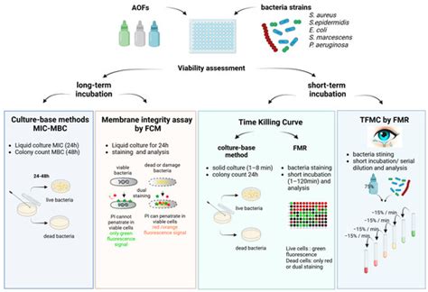 Bactericidal Evaluation Of The Antimicrobial Activity Of The Alcoholic