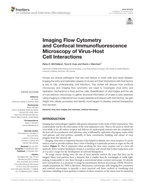 PDF Imaging Flow Cytometry And Confocal Immunofluorescence Microscopy Of Virus Host Cell