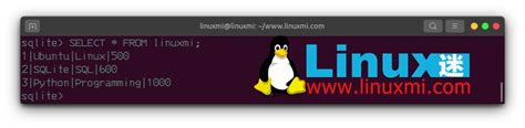 在 Ubuntu 2004 上安装 Sqlite，以及 Sqlite 的增删改查 Linux迷