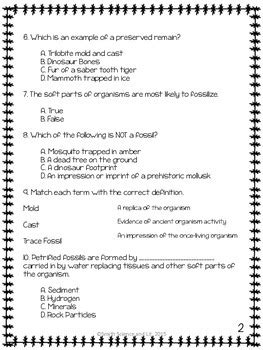 Geologic Time Quiz By Smith Science And Lit TPT