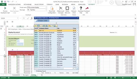 Easyinput 30 Sap And Excel Combined All For One Poland