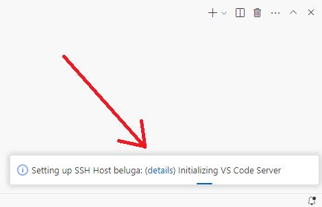 Visual Studio Code Alliance Doc