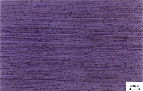 Optical Microstructure Of The Base Metal Download Scientific Diagram