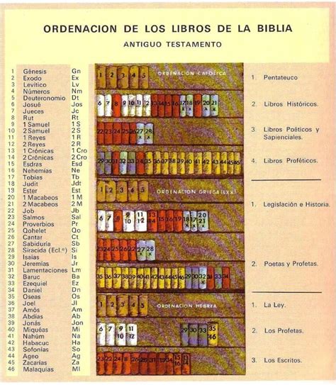 Los 73 Libros De La Biblia Católica Guía Completa Librería La Tijera