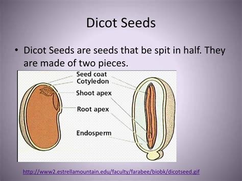Ppt Notes On Reproduction Powerpoint Presentation Id 2015141