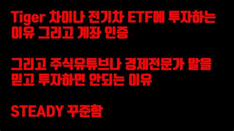 타이거차이나전기차 매수 하는 이유와 힐링여행자에 대한 생각 주식투자에 대한 생각 Youtube
