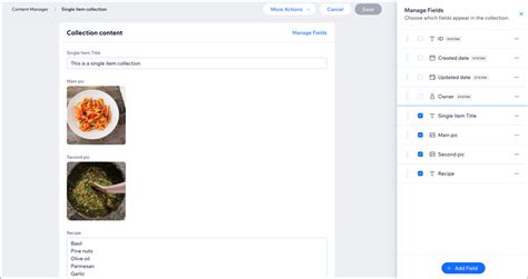 Cms Differences Between Single Item And Multiple Item Collections Help Center