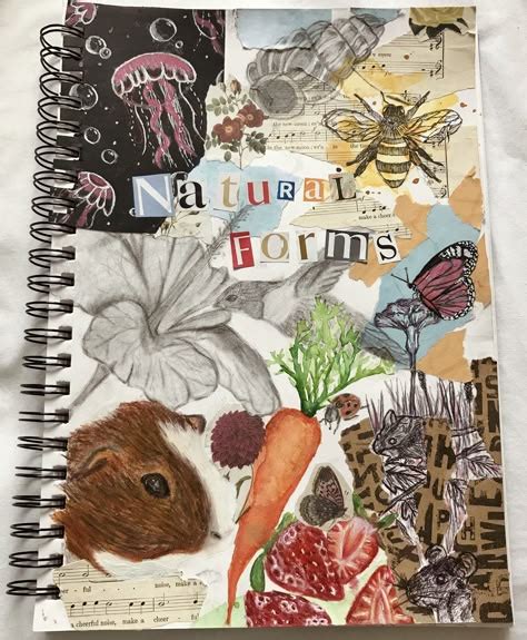 Gcse Art Title Page