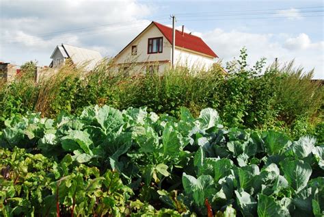 Дачников и владельцев частных домов ждет новый штраф House Styles Garden Home