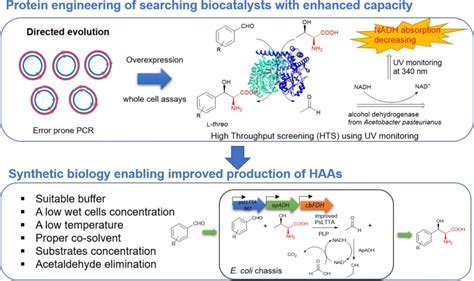Directed Evolution And High Throughput Screening Development Enable The Download Scientific