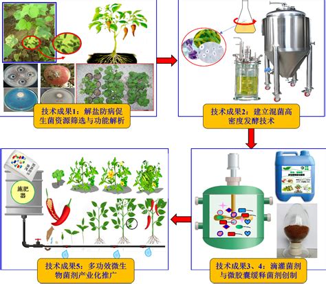 我院武占省教授牵头完成的“多功效微生物菌剂研发与推广应用”成果 荣获中国产学研合作促进会2023年产学研合作创新成果奖二等奖 西安工程大学环境与化学工程学院