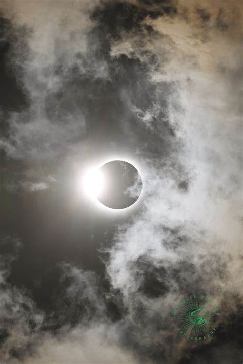 Michelle Walston 2nd Eclipse Living Grey Collective