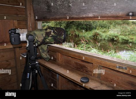 Twitcher im versteck mit kamera Fotos und Bildmaterial in hoher Auflösung Alamy