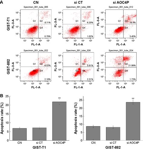 the apoptosis activity of gist t1 and gist 882 cells in cn si ct and