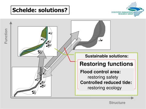PPT RESTORING ECOSYSTEM FUNCTIONS IN A HEAVILY DISTURBED ESTUARY PowerPoint Presentation ID
