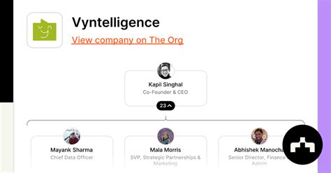 Vyntelligence The Org