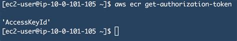 Amazon Web Services Aws Cli On Instance With Ecr Iam Policy Set