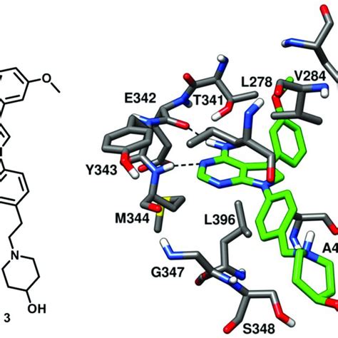 2d Structure Of 1 And X Ray Structure Of C Src Kinase In Complex With 1