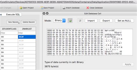 Core Data Swift Coredata Save Attribute With Type Of Custom Class