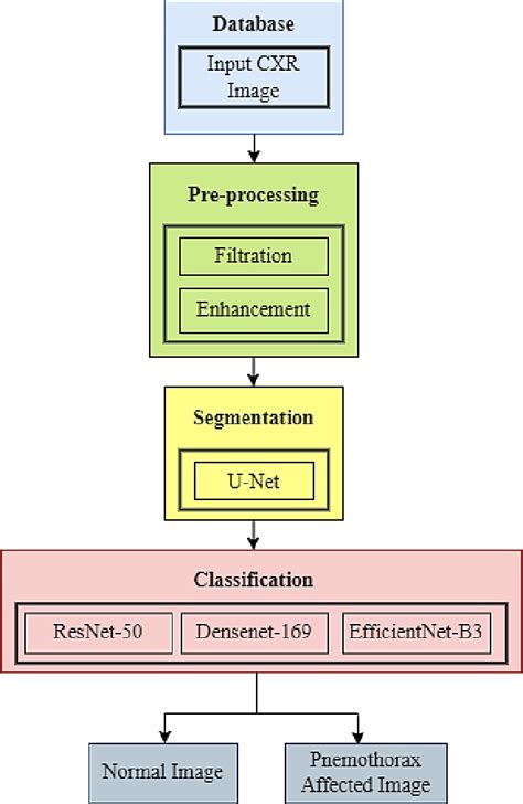 figure 1 from computer aided system for pneumothorax detection through