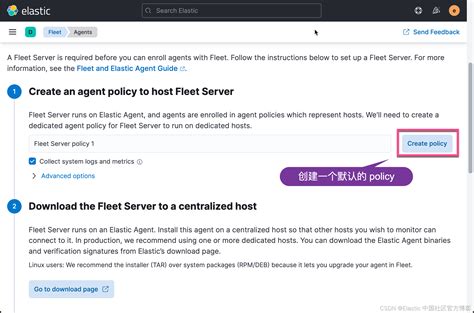 Observability：在生产环境中配置 Fleet Server 和 Elastic Agent 之间的安全 Csdn博客