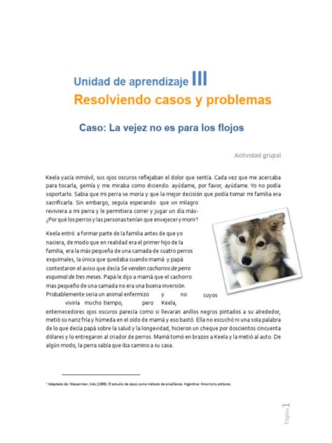 La Vida Y Vejez De Keela Mi Perra Pdf Perros Artritis
