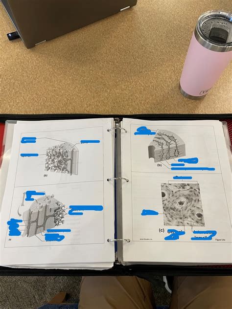 Macro Micro Quiz 2 Diagram Quizlet