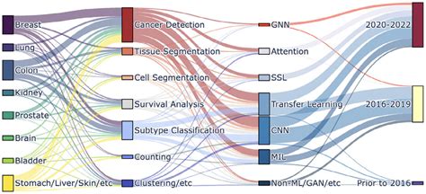 Getting Started With Computer Vision For Histopathology